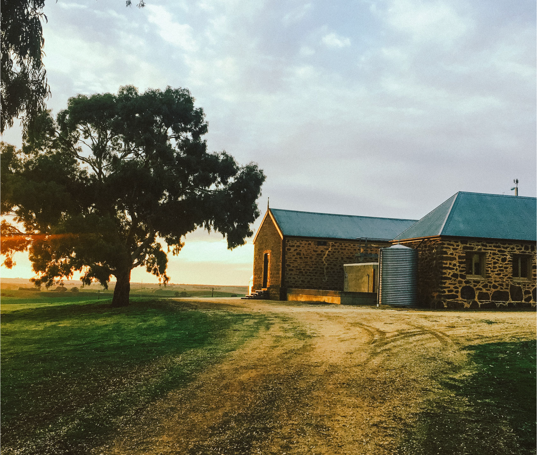 THE WINE FRONT, MIKE BENNIE – 2018 REVIEWS – Neldner Road